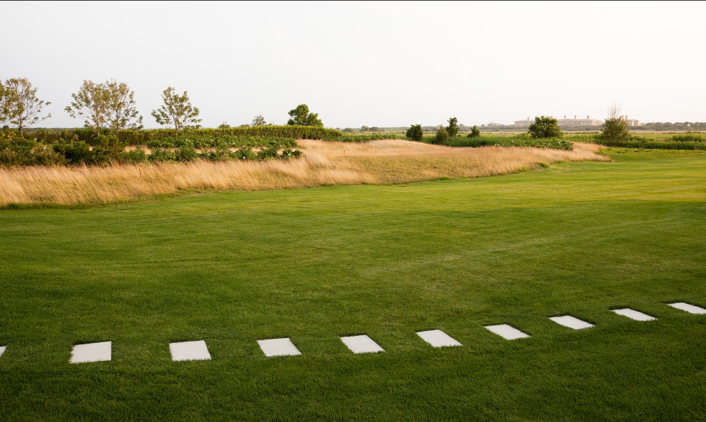 Firm | Hollander Design