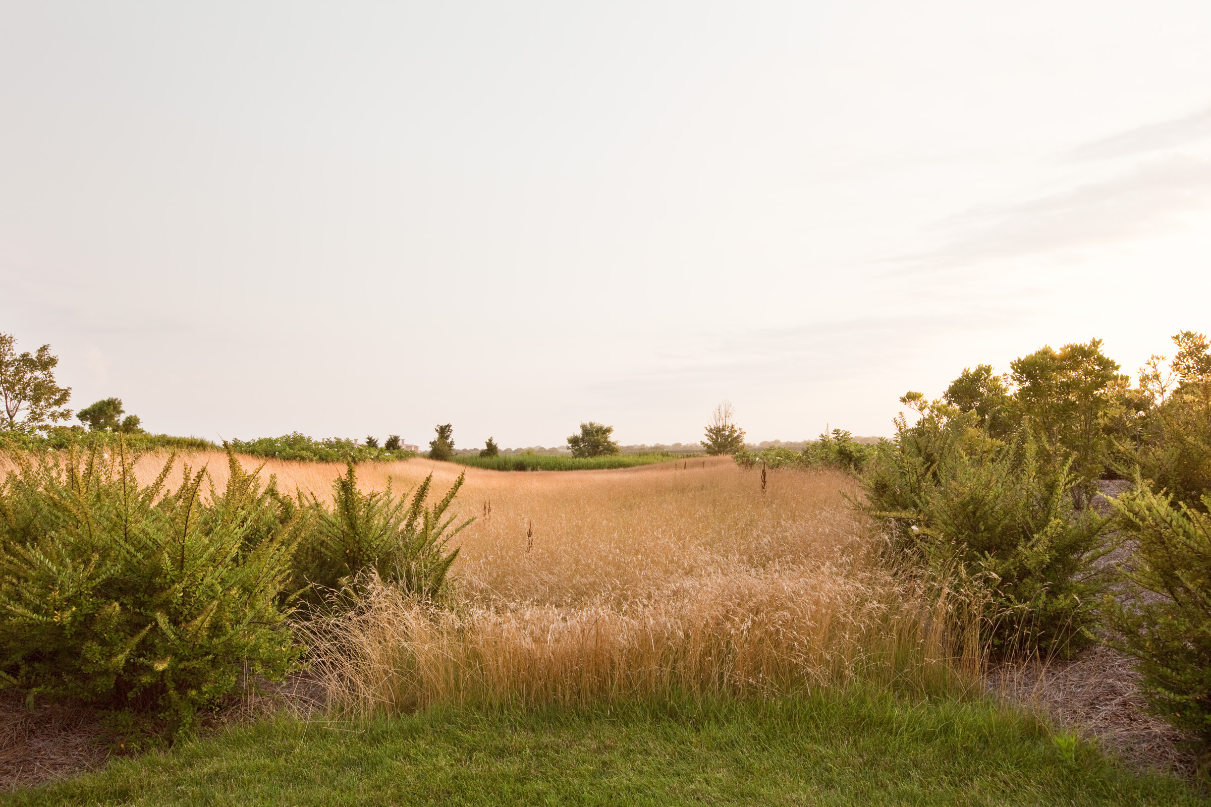 Portfolio | Hollander Design