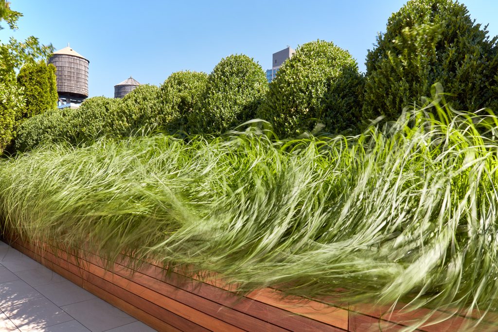 Verde Moderne | Hollander Design