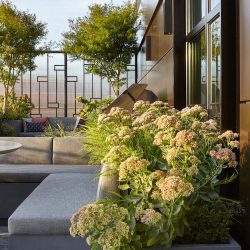 River View Terrace | Hollander Design
