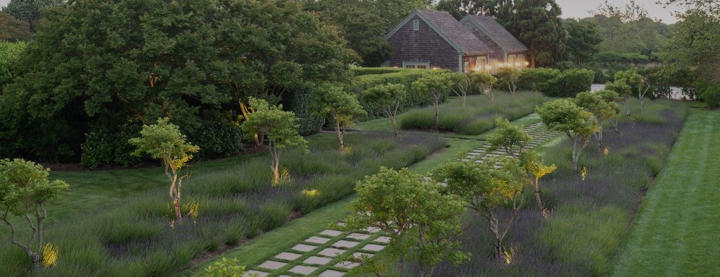 Firm | Hollander Design