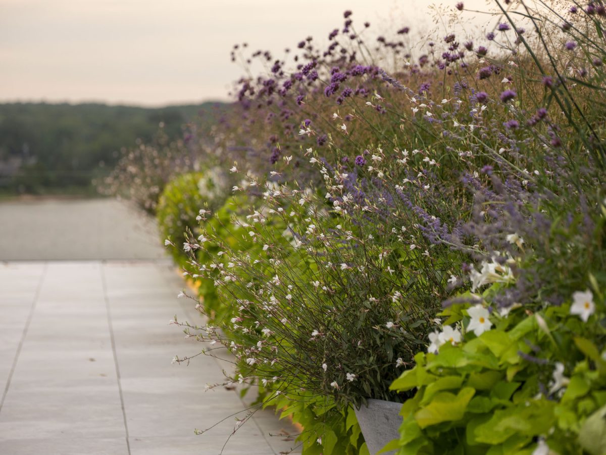 Modern Cove | Hollander Design